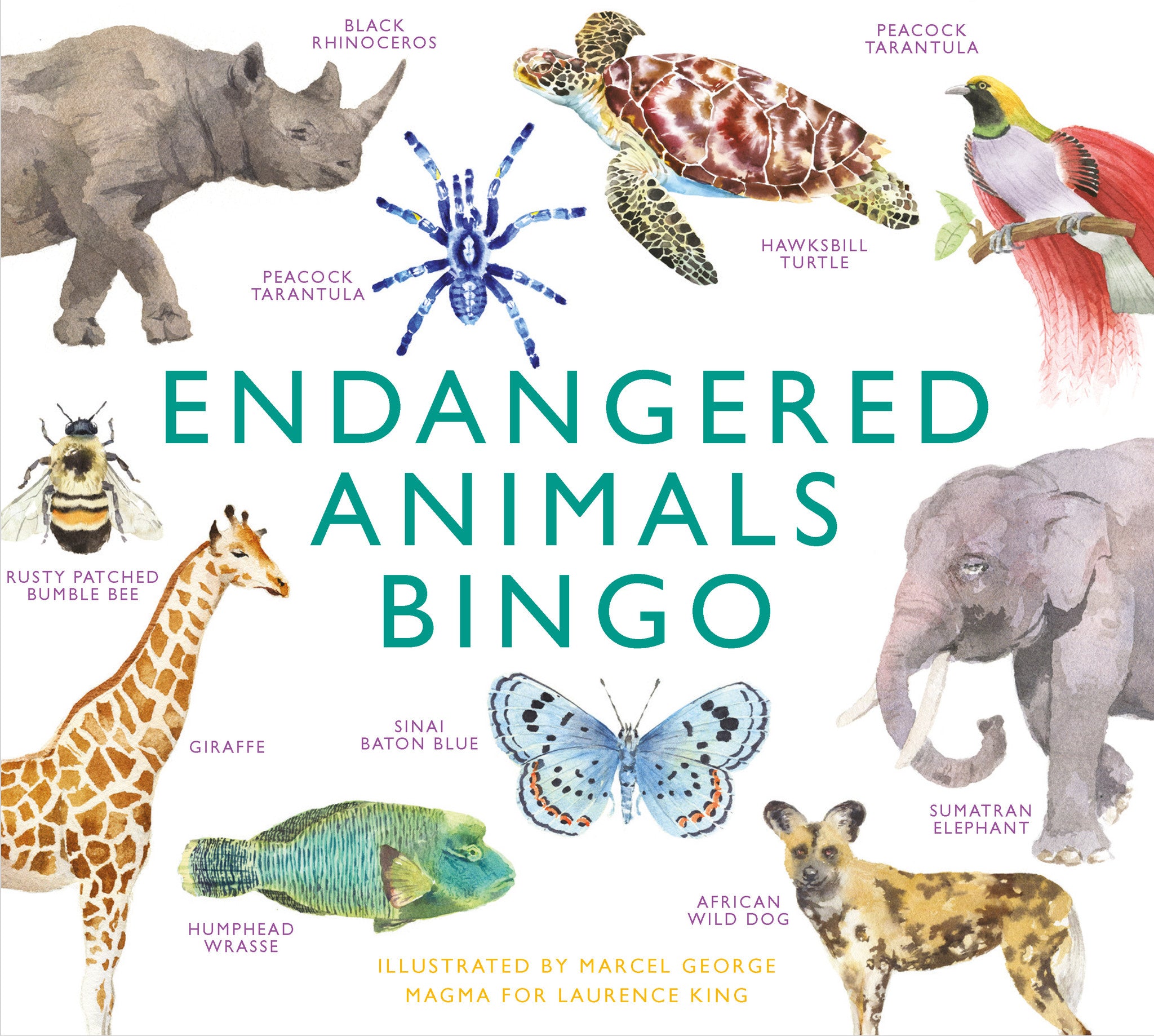 Endangered Animals Bingo – The Toy Shop Okehampton